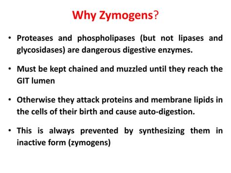 Digestion Biochemistry
