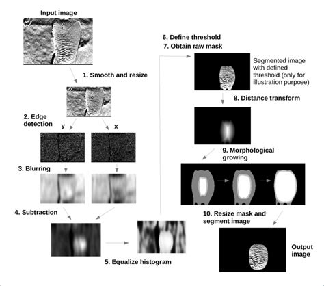 Anisotropy Based Segmentation Workflow Download Scientific Diagram