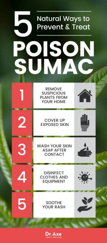 Poison Sumac Symptoms 5 Natural Treatments Dr Axe
