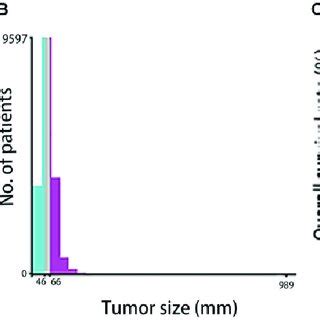 The Optimal Cut Off Value Of Preoperative Circulating Tumor Size In The