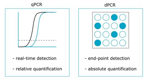 Digital Pcr Based Assay To Assess Genomic Stability In Stem Cells