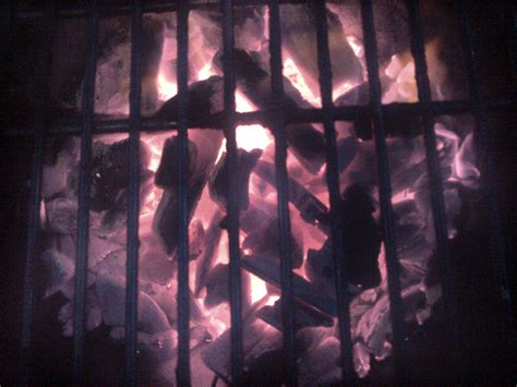Just A Simple T Bone — Big Green Egg Forum