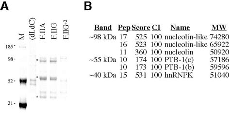 Figure 1 From A Potential Regulatory Role For Mrna Secondary Structures