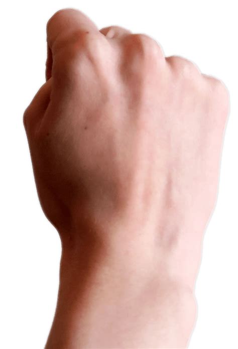 Puño cerrado arriba PNG transparente StickPNG