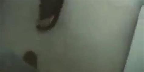 Calendar Audition Tnaflix Com