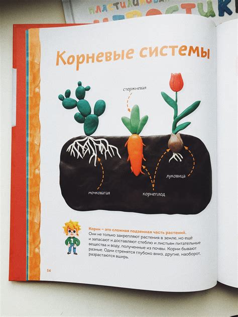 Пластилиновая лаборатория Чевостика 2 - Vilki Books