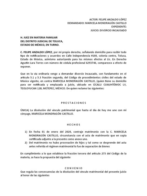 Divorcio Incausado Pdf Divorcio Matrimonio