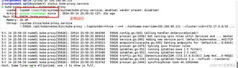 Kubernetes二进制（单master）部署kubemsb Csdn博客