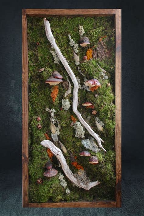 Панно из мха Декор стен Рамки Дикие