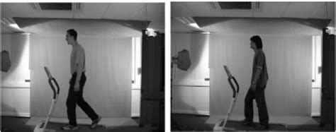 Images Taken From The University Of Southampton Gait Database Download Scientific Diagram