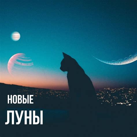 Спортмастер на закате новых лун услышал вечный зов бегущего по кругу