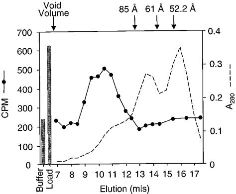 Superose 6 Size Exclusion Chromatography Of Gtc Partially Purified