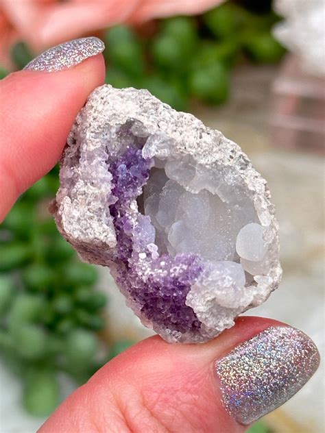 Small Spirit Flower Geodes Contempo Crystals