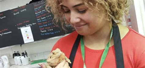 Animal Management And Dog Grooming Courses Capel Manor College