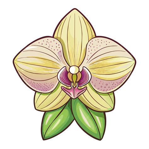 Estilo De Dibujos Animados De Orquídea Icon Vector Clippart Ilustración