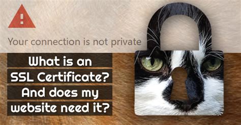 What Is SSL And Does My Website Need It Digital Spice