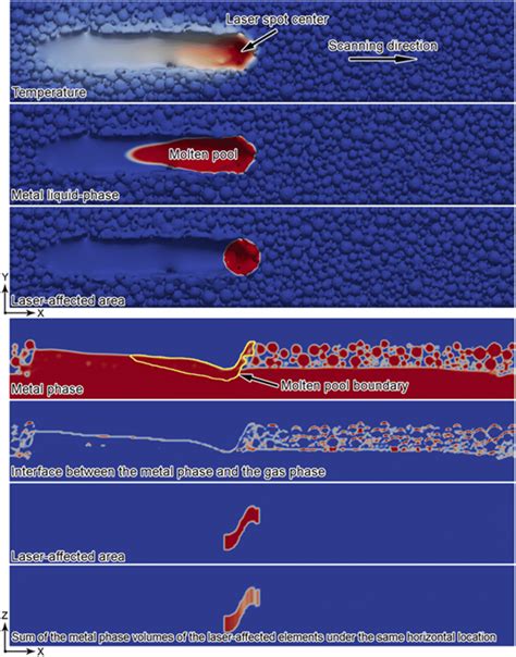 schematic diagram of the dynamic behavior of the molten pool and the
