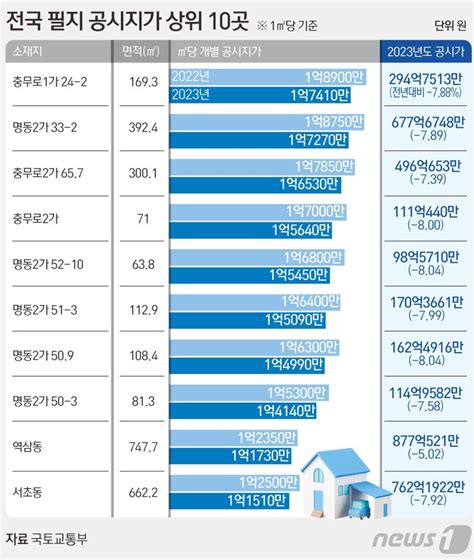20년째 땅값 1위 명동 네이처리퍼블릭토지가액은 2년째 떨어졌다 파이낸셜뉴스