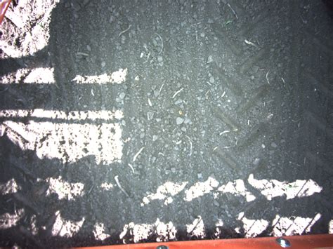 Plant Segmentation Instance Segmentation Dataset By Markusworkspace