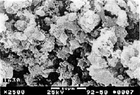 SEM Image Of The Microstructure Of Red Mud Which Shows The Aggregates Download Scientific
