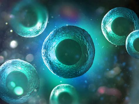 Human Stem Cell Trial Successful Against Age Related Frailty