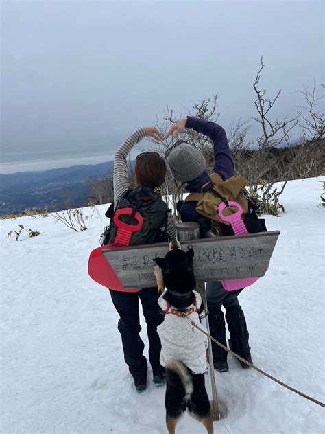 雪の南沢山🗻 Reikoさんの恵那山・大判山・神坂山の活動データ Yamap ヤマップ