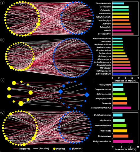 Functional Co Occurrence Network Of Keystone Genera And Functional