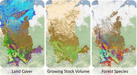 Supporting A Forest Observation System For Siberia Earth Observation For Monitoring Assessing