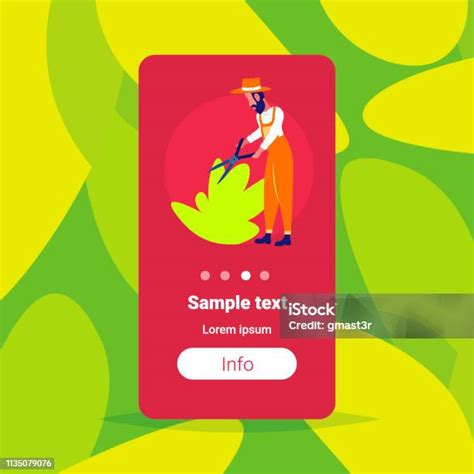 수염 정원사 전 정 부시 남자 전문 노동자 트리밍 식물 절단 퇴색 줄기 가지 원 예 도구 전지가 위가 위 복사 공간 전체 길이 가위에 대한 스톡 벡터 아트 및 기타 이미지