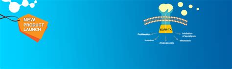 Antibodies Protein Elisa Kits Clone And Reagents For Life Science Cusabio