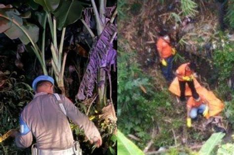 Tangan Terikat Di Pohon Mayat Di Semak Semak Ini Gegerkan Warga Kota