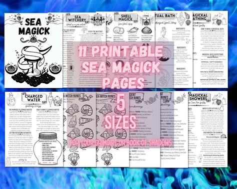Sea Witchcraft For Beginners Basics Of Sea Magick Sea Shell Meanings