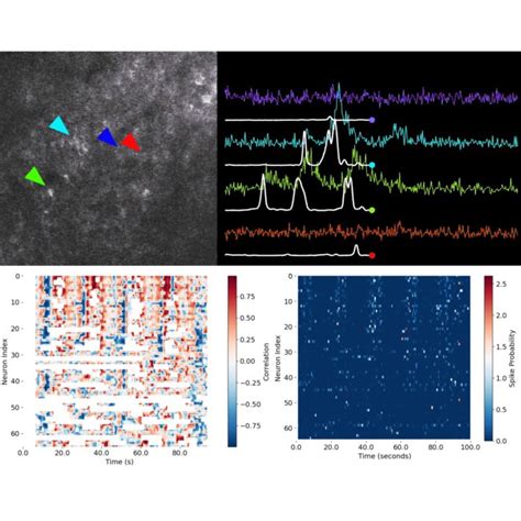 The Sir Model A Mathematical Approach To Epidemic Dynamics Fabrizio Musacchio