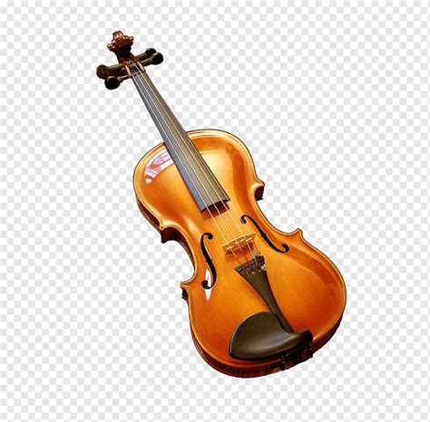 베이스 바이올린 Violone Viola Fiddle 바이올린 더블베이스 바이올린 현악기 Png Pngwing