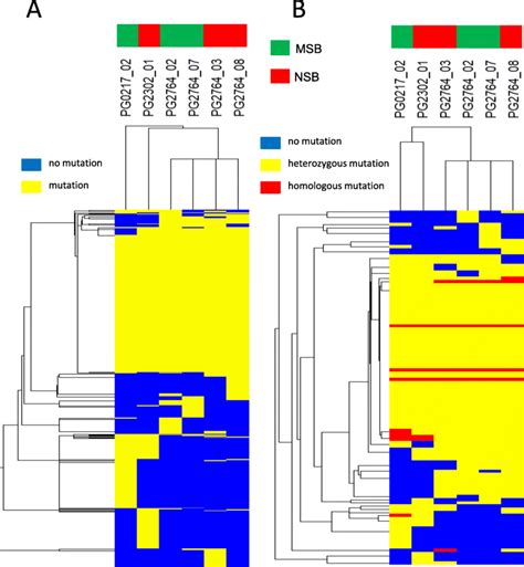 Clustering Of Mutations In Whole Genome Sequence Analysis A Clustering