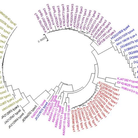 A The Neighbor Joining Phylogenetic Tree Of 152 Hbv Genome Sequences