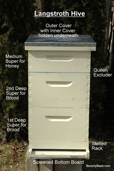 Parts Of A Beehive A Beginner Beekeepers Guide Beverly Bees