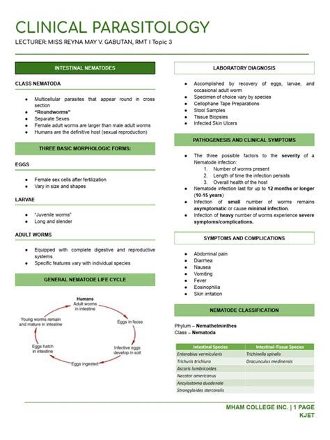 Lec3 Intestinal Nematodes Pdf Nematode Epidemiology