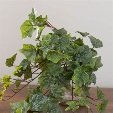 Artificial Ivy Trailing Plant Dunelm