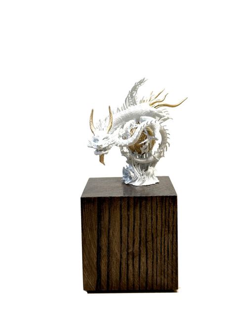 Ray Wong ⻘⿓ Qing Long 2020 Artsy