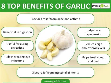 The Benefits Of Eating Garlic Health Benefits