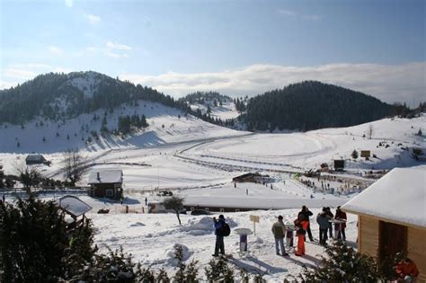 Берковица става второ Банско