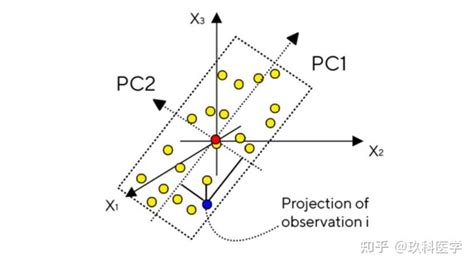Pca 文献中常见的这种图你能看懂吗？ 知乎