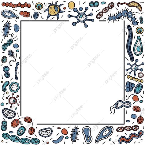 Square Frame With Different Bacteria Cells Bacterial Streptococcus