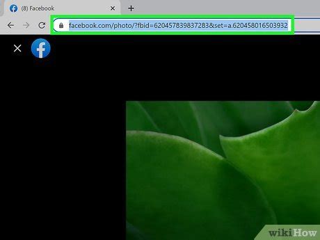 How To Add A Link To A Picture Simple Ways
