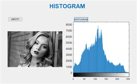 github slametr6 histogram grey histogram gray scale matlab