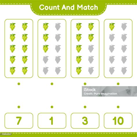 카운트 앤 매치 포도 의 수를 계산하고 오른쪽 숫자와 일치합니다 교육 어린이 게임 인쇄 워크 시트 벡터 일러스트레이션 0명에 대한 스톡 벡터 아트 및 기타 이미지 Istock