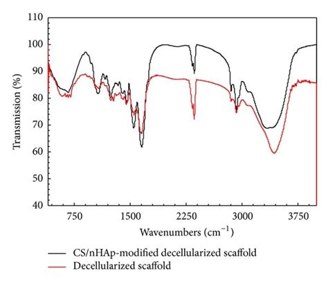 ftir spectra of a cs nhap composite and b cs nhap modified