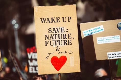 El Futuro De Los Alimentos Ser Plant Based
