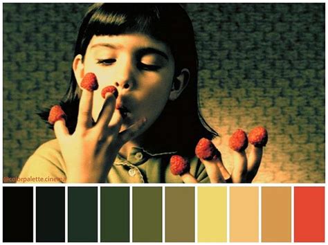 Amélie 🇫🇷2001 •directed By Jean Pierre Jeunet •cinematography